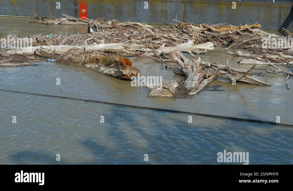 Flowing river transporting debris and branches through a concrete ...