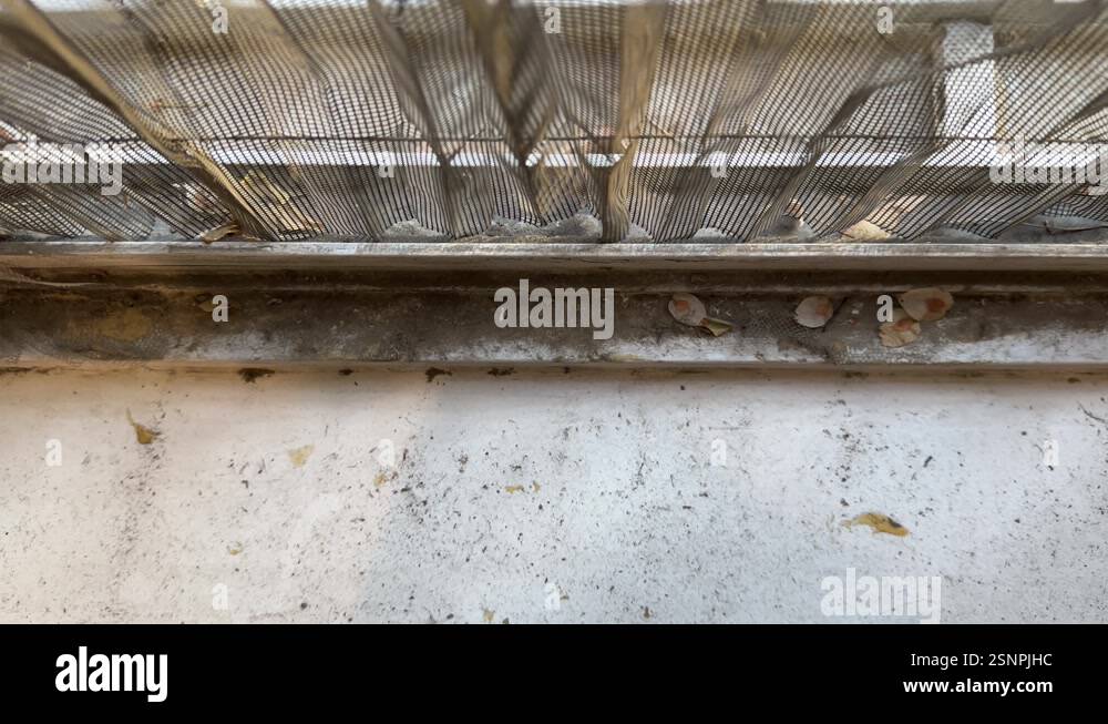 Broken mosquito net door screen window mesh background pattern building ...