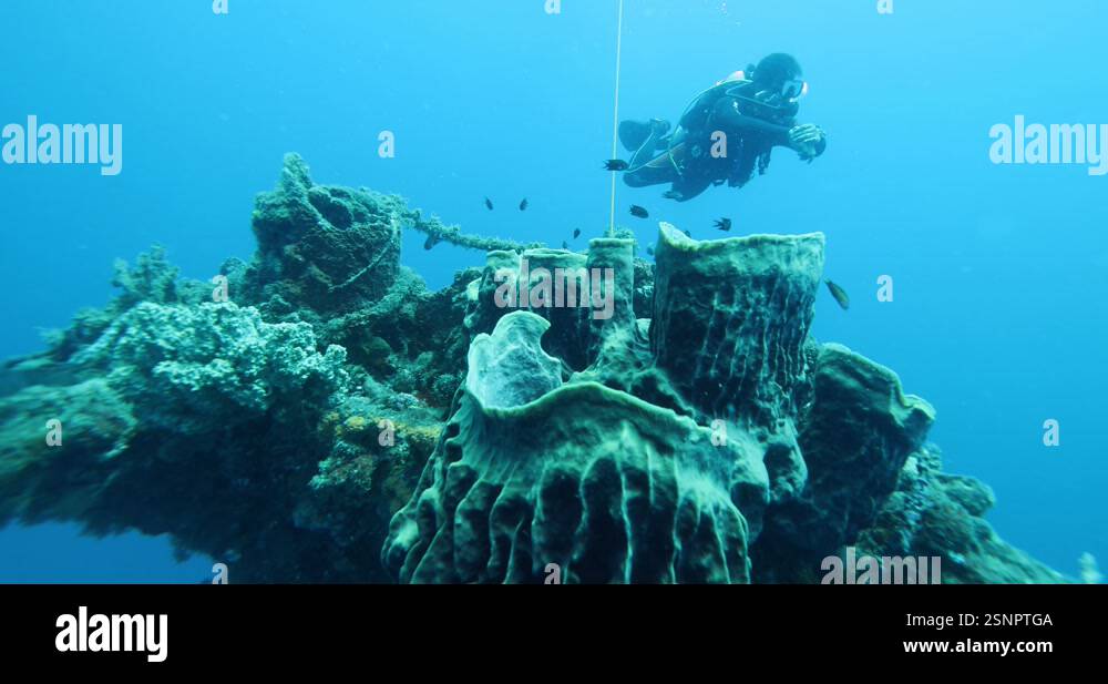 Scuba Diver Exploring Big Ship Wreck sunk during World War II Stock ...
