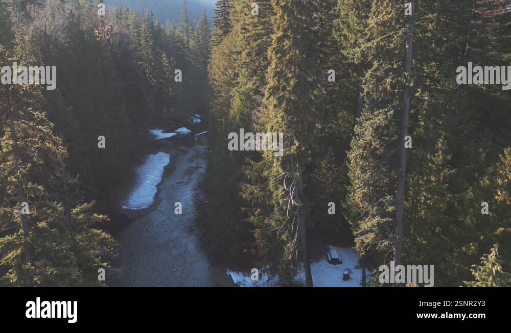 Gradually Rising Above River and Forest Canopy Stock Video Footage - Alamy