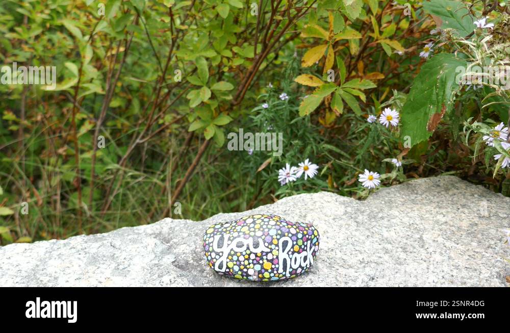 Kindness rock with you rock message and plants blowing in background ...
