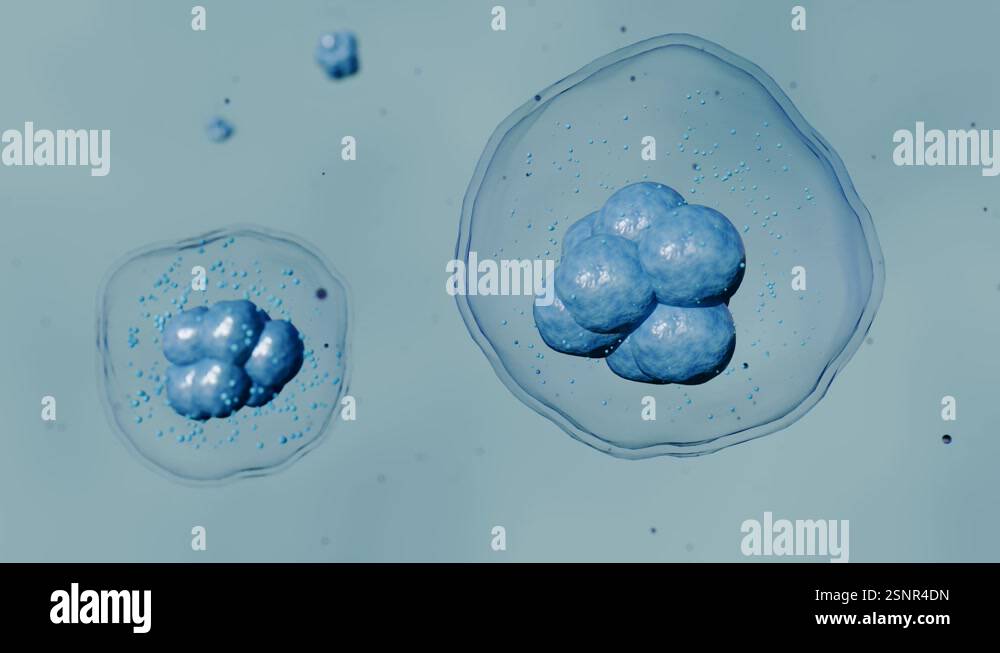 3d animation of a microscopic view of multiple cells Stock Video ...