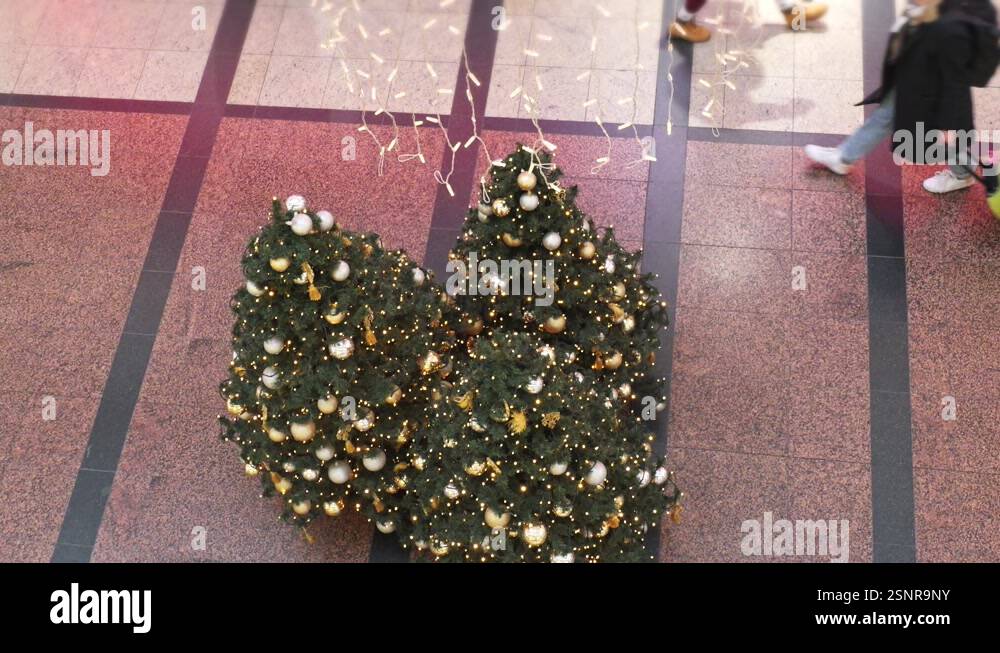 Trees in a shopping mall Stock Videos & Footage - HD and 4K Video Clips ...
