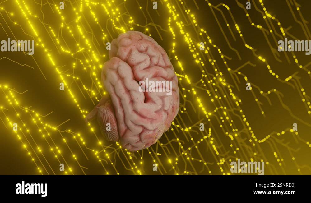 Human brain model with glowing yellow neural connections on a dynamic ...