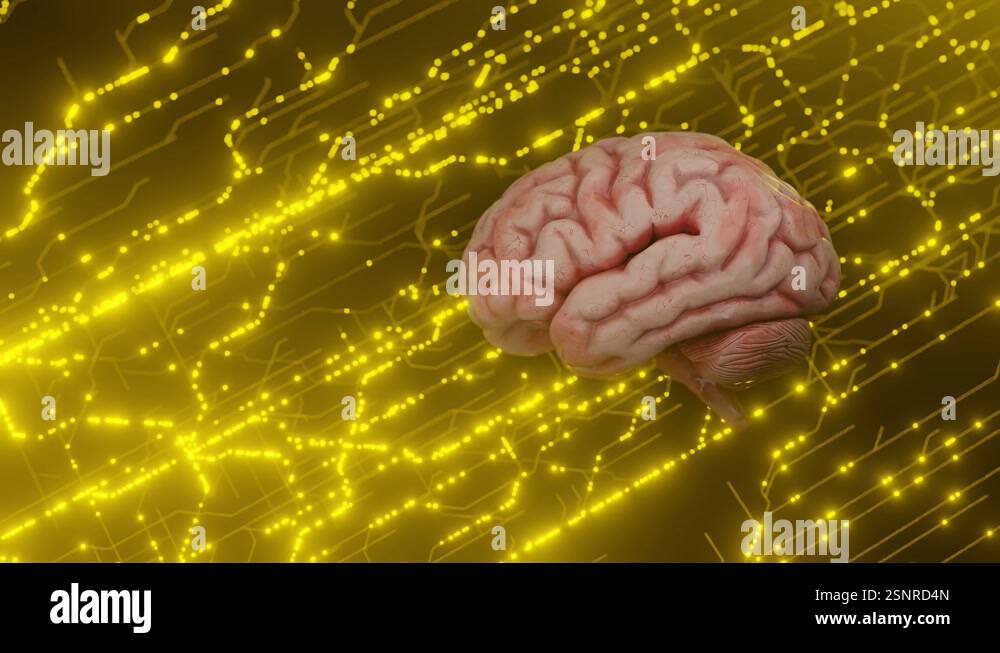 Human brain model with glowing yellow neural connections on a dynamic ...