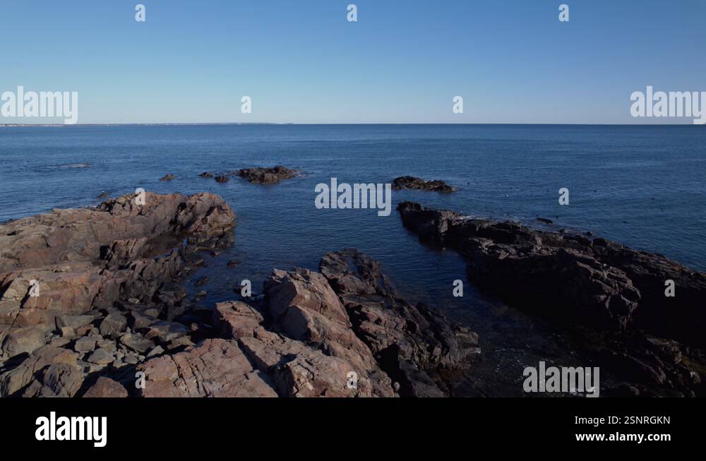 Ogunquit Rocks And Birds Stock Video Footage - Alamy