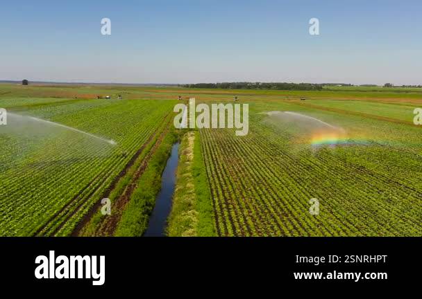 Irrigation system on green field. An irrigation pivot watering ...