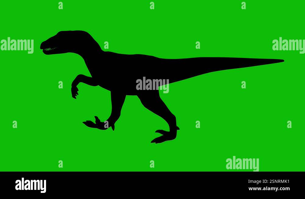 Silhouette of a velociraptor dinosaur walking on green screen, side ...