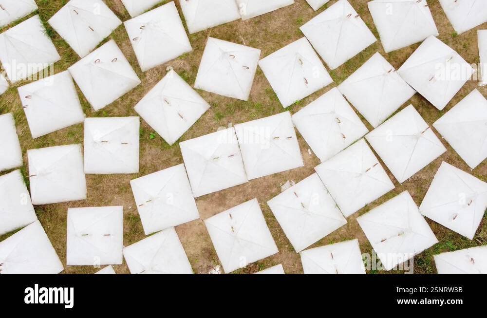 Tactical barrier Stock Videos & Footage - HD and 4K Video Clips - Alamy