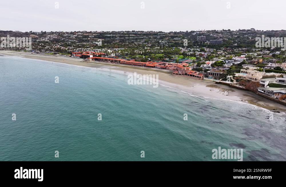 La dolphin Stock Videos & Footage - HD and 4K Video Clips - Alamy