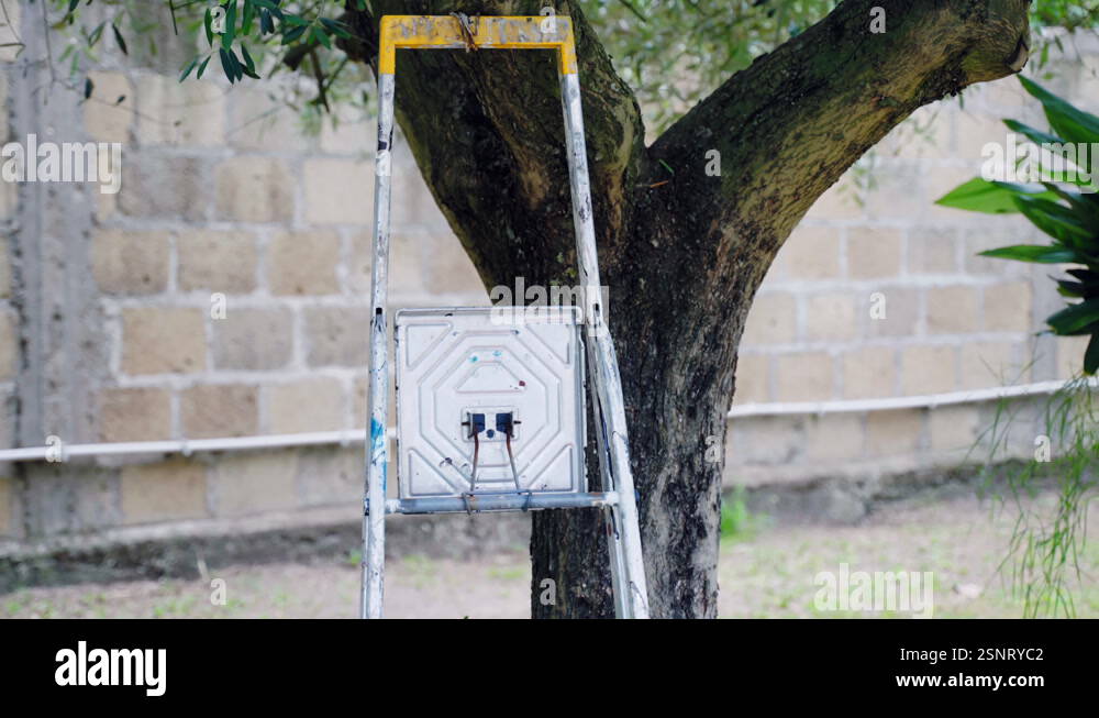 Tree trunk ladder Stock Videos & Footage - HD and 4K Video Clips - Alamy