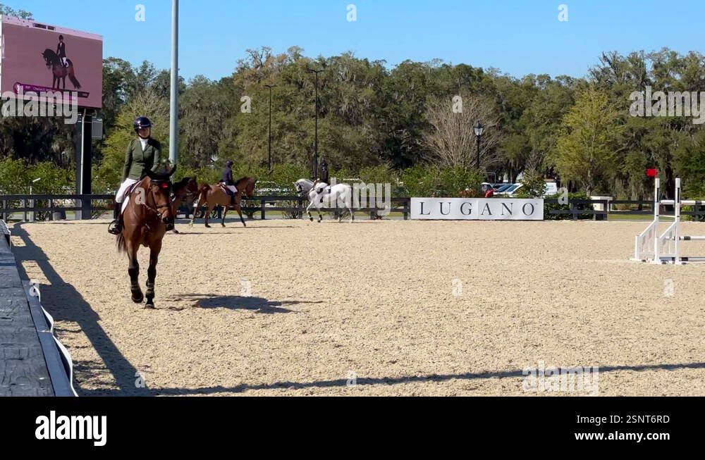 Male and female equestrian competitors in horse training arena warming ...