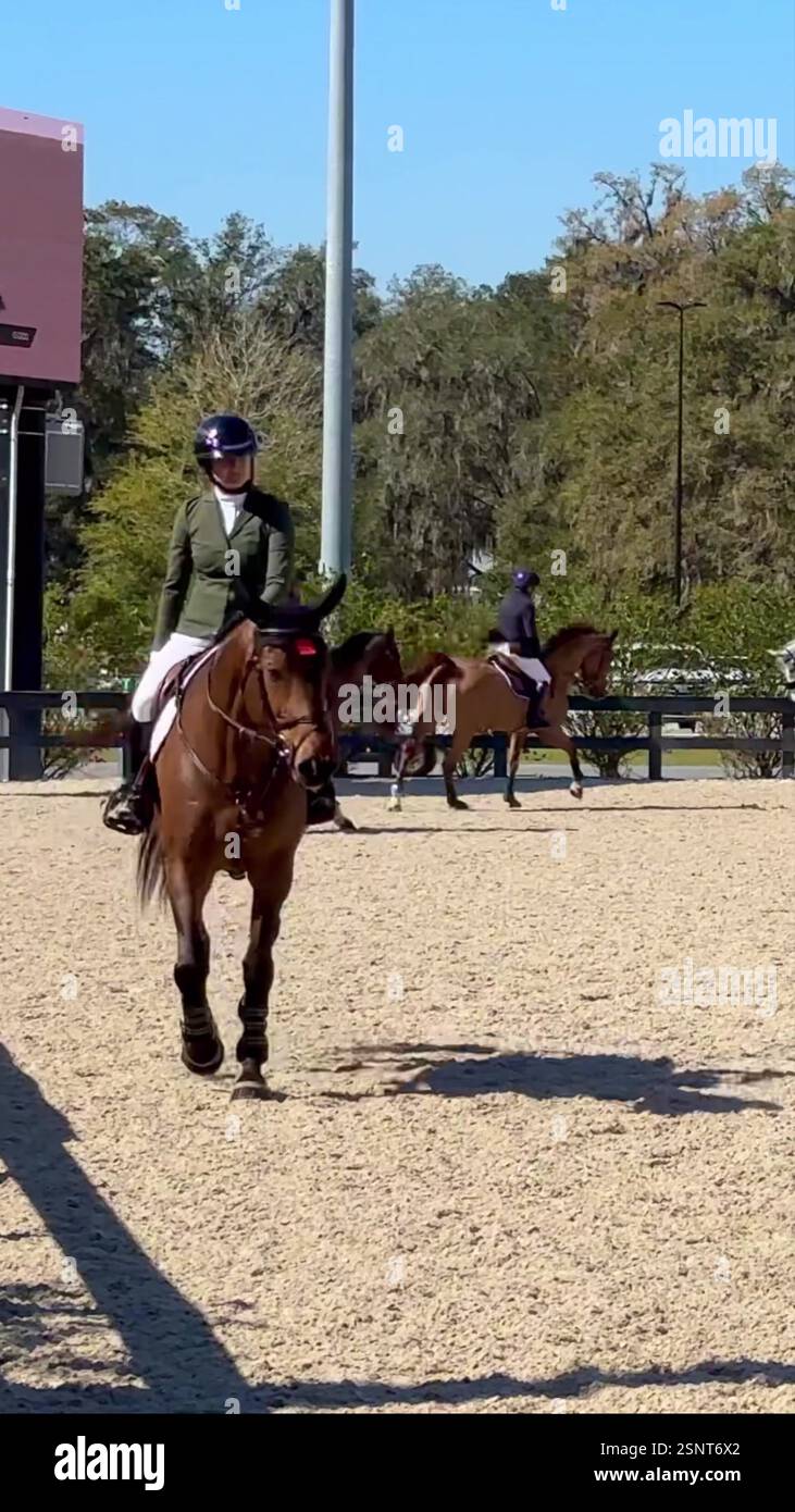 Saddle equestrian Stock Videos & Footage - HD and 4K Video Clips - Alamy