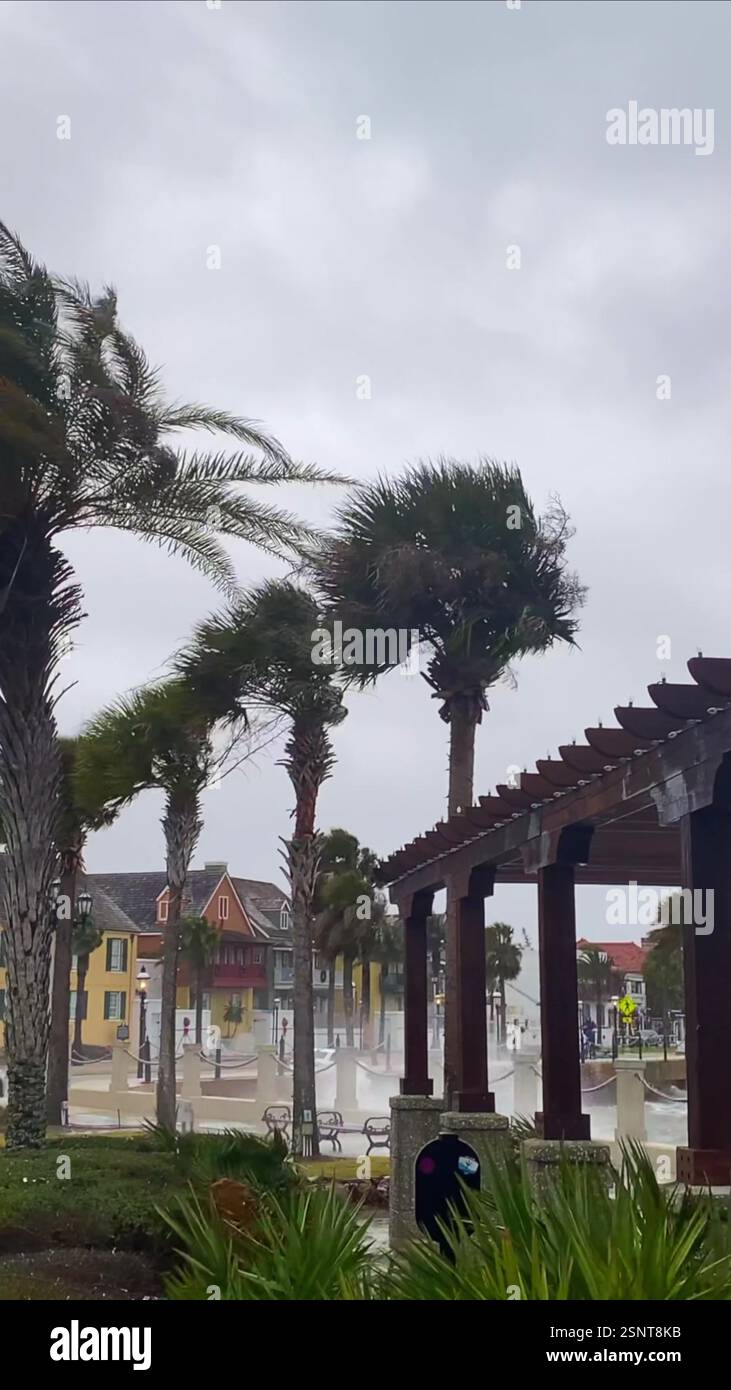 Strong wind blowing palm trees and waves crashing on bulkhead before ...