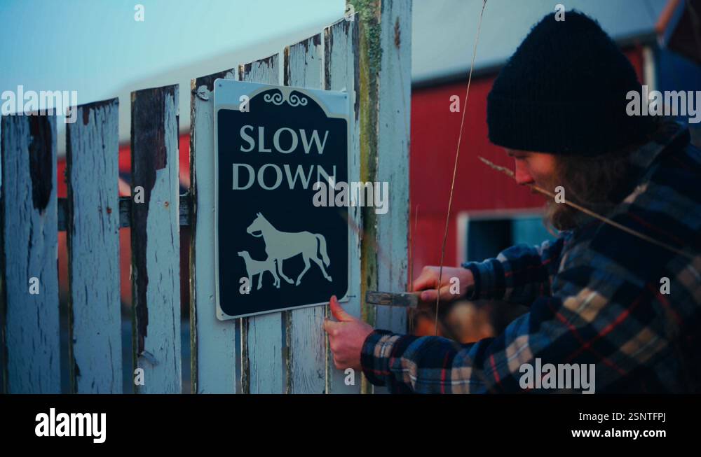 A Man Attaching a "Slow Down" Animal Crossing Sign to a Fence With a ...