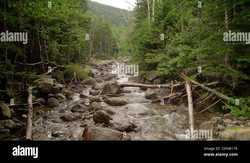 Ammonoosuc River flows over rocky terrain and fallen logs Stock Video ...