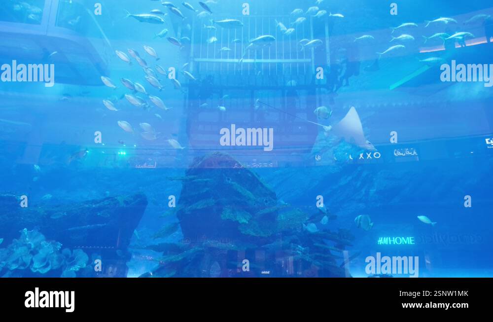 Sea ramp Stock Videos & Footage - HD and 4K Video Clips - Alamy