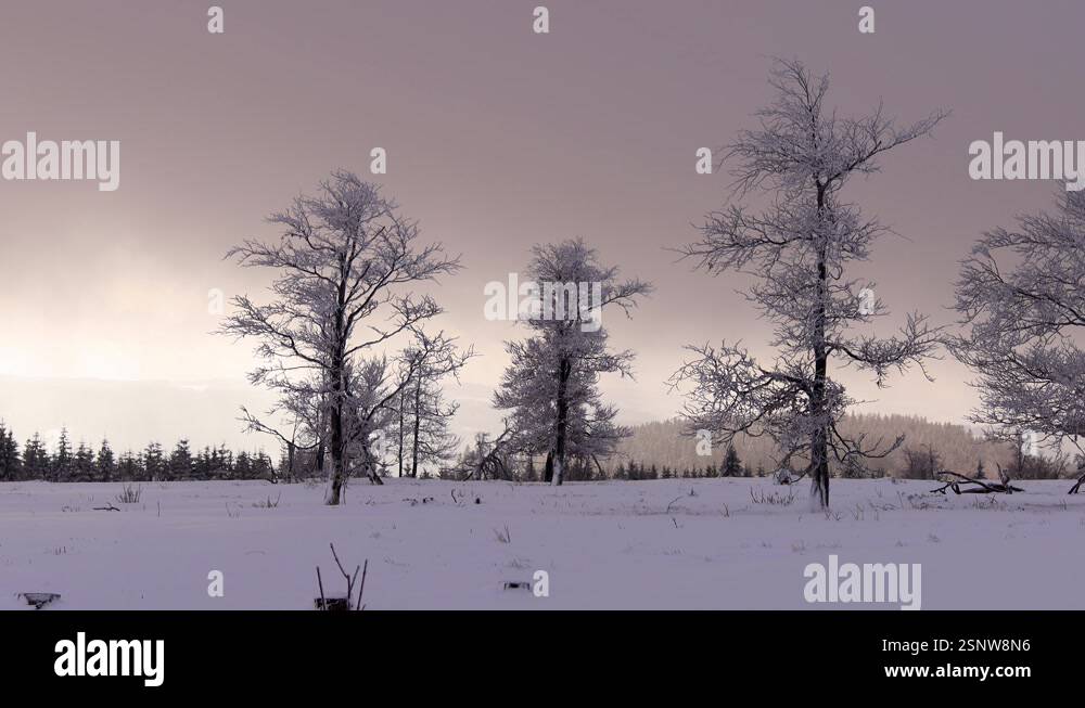 German sauerland Stock Videos & Footage - HD and 4K Video Clips - Alamy