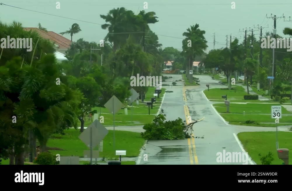 Hurricane winds blow and damage trees in a USA city Stock Video Footage ...