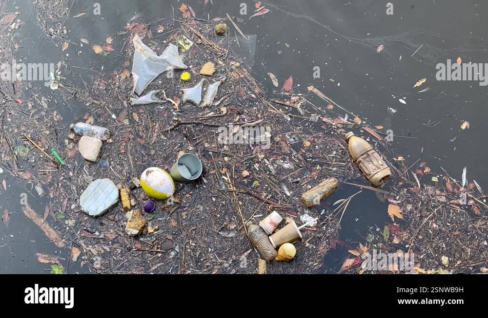 Melbourne: Discarded plastic litter floats on the surface of the Yarra ...