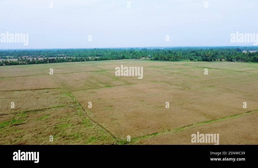 Soil and field preparation, Agriculture in India,, Village beauty in ...