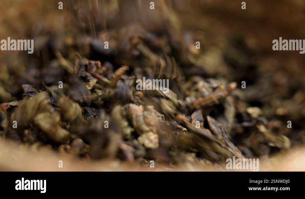 Gunpowder green tea dried leaves falling into an braided bowl Stock ...