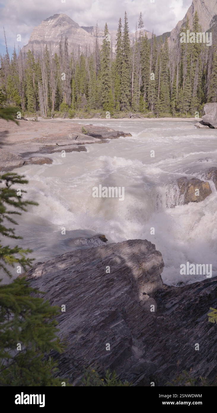 Rushing rapids at Emerald Lake surrounded by forest and mountain peaks ...