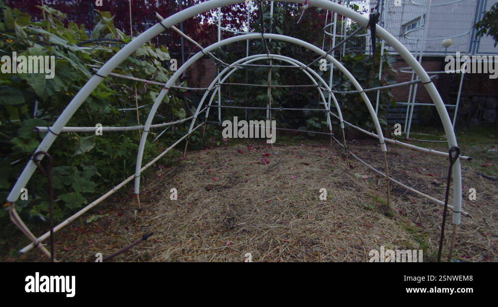 Planting harness inside a large orchard in the light of a cloudy day ...
