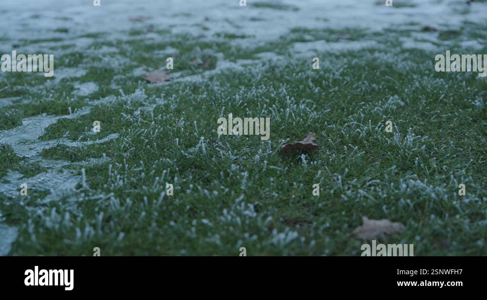frozen lawn in the morning with green areas Stock Video Footage - Alamy