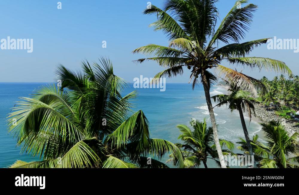 varkala Cliff , Main Varkala beach in kerala Stock Video Footage - Alamy