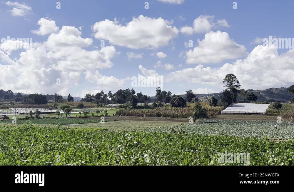 Scenic Countryside Landscape in Guatemala Stock Video Footage - Alamy