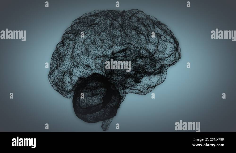 Human brain particles activity highlighted nervous system medical Stock ...