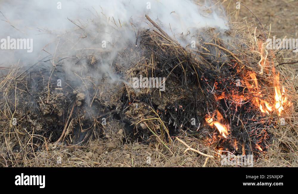 Fire Stock Video Footage - Alamy