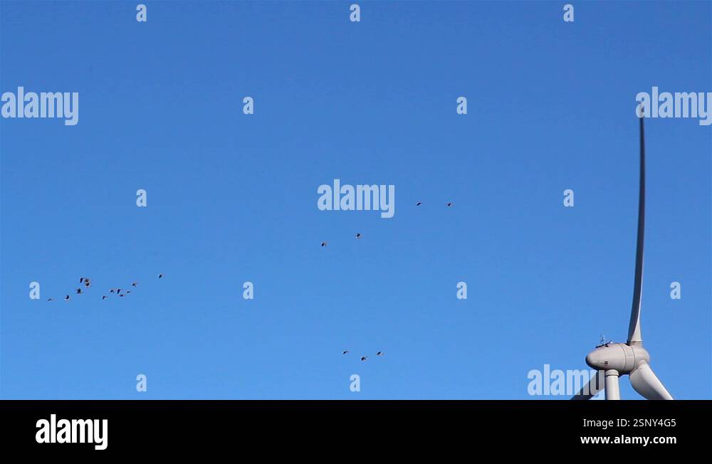 three bladed windmill slowly turning Stock Video Footage - Alamy