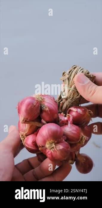 Traditional farming symbol Stock Videos & Footage - HD and 4K Video ...