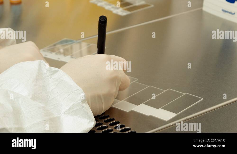Test plates Stock Videos & Footage - HD and 4K Video Clips - Alamy