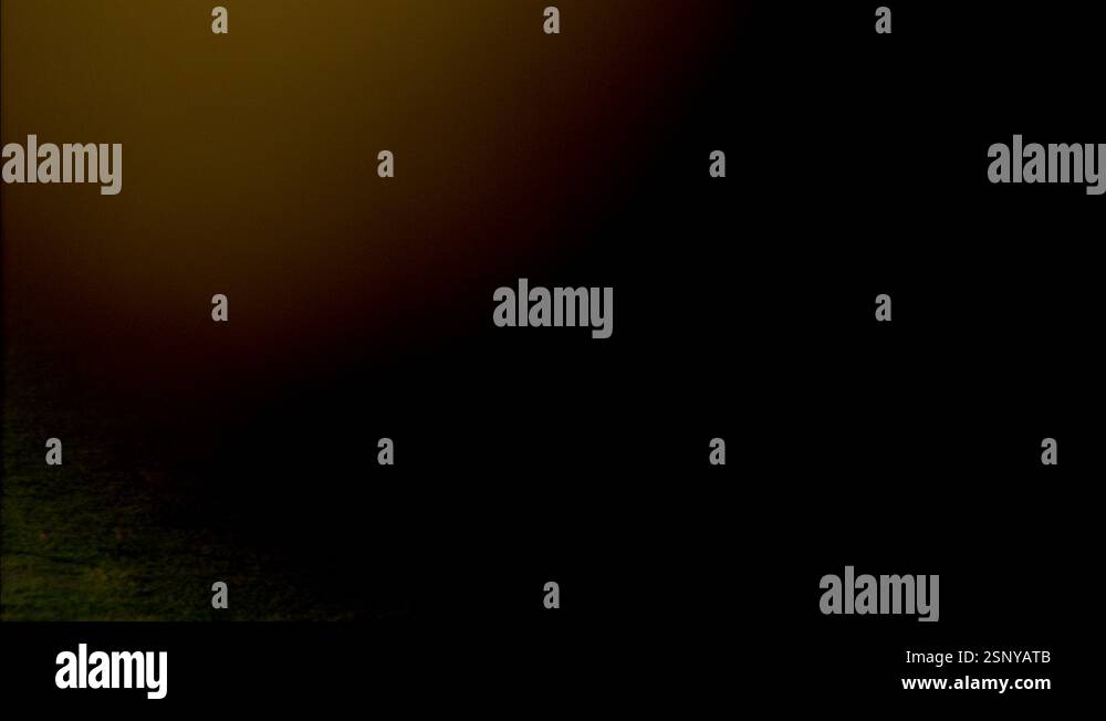 Deer Grasslands Plain Prairie Stock Video Footage - Alamy