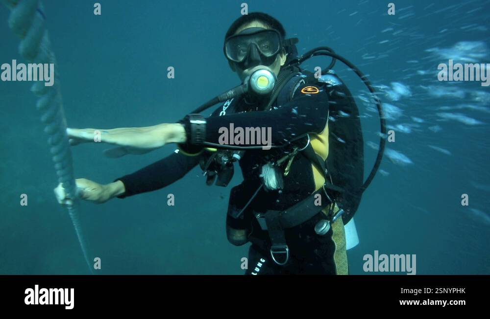 Scuba diver looks at his dive computer during ascent safety stop Stock ...