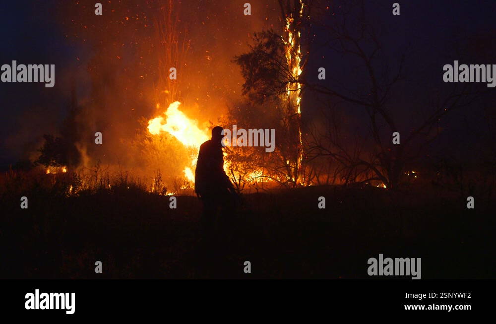 Firefighter fighting with bush fire Stock Video Footage - Alamy