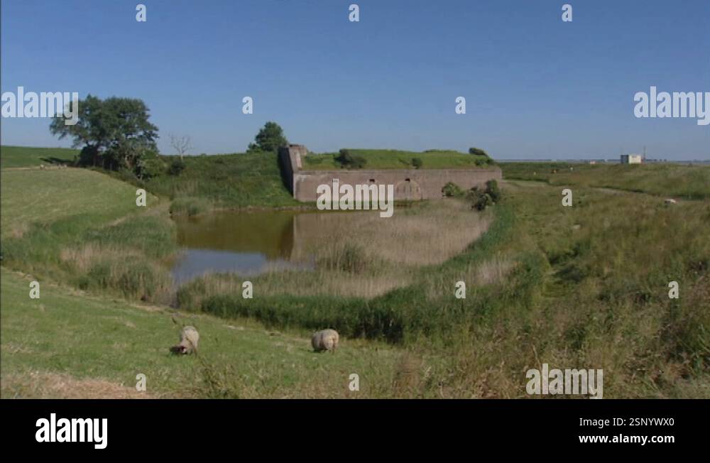 Sheep graze on dike near Fort Ellewoutsdijk at the Western Scheldt ...