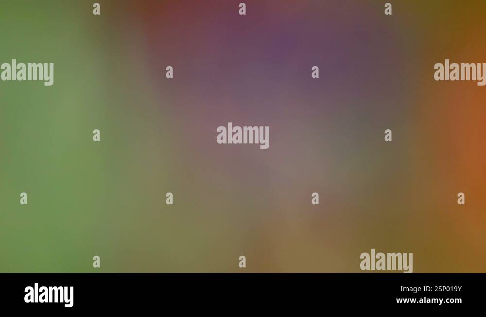 Abstract moving colors background. Defoucused flower garden Stock Video ...