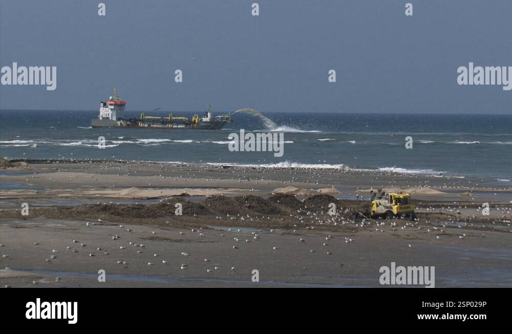 trailing suction hopper dredger rainbowing slurry + tracked shovel ...