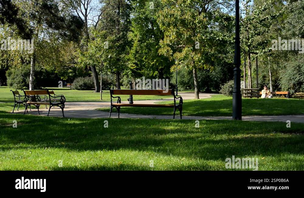 people relax in the park (sitting)- nature (grass and trees) - benches ...