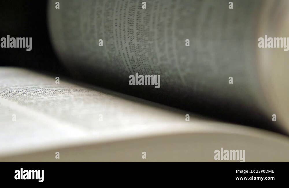 Looking through a book turning the pages and reading Stock Video ...