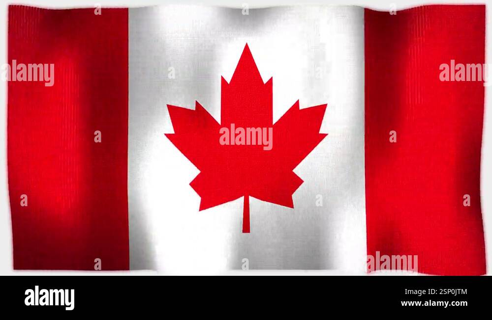 4K 3D Animation of Canadian Canada Whole Flag Canvas Texture Stock ...