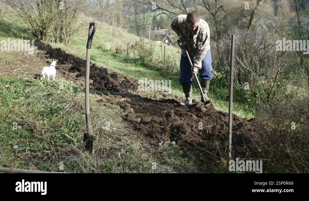 Young Gardener working in the garden with spade Stock Video Footage - Alamy