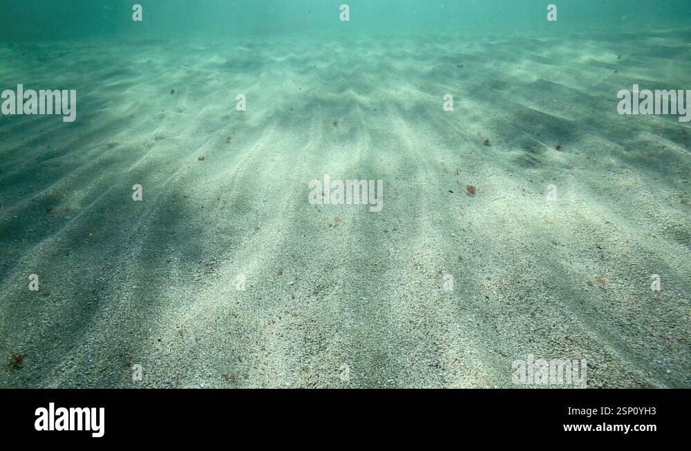 Underwater shallow sandy ocean floor Stock Videos & Footage - HD and 4K ...