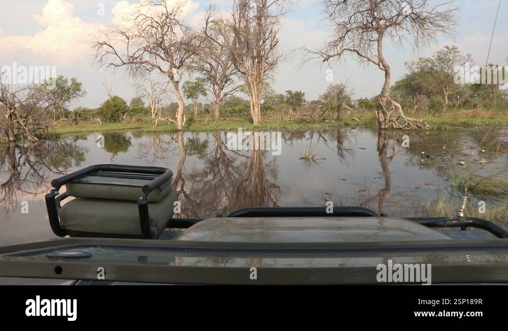 Front of safari vehicle driving crossing through river in the african ...