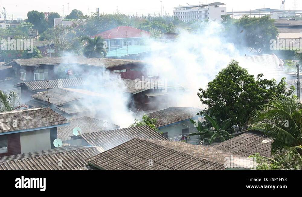 Fumigate mosquito killing to prevent disease Stock Video Footage - Alamy