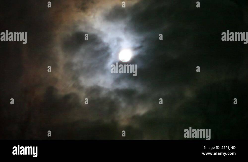 Full moon shining through the clouds and branches. Changes focus on blurred. HD Stock Video ...
